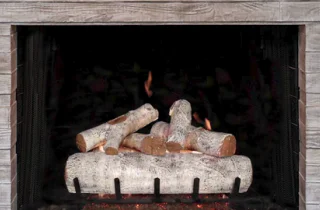 Real Fyre Store | RH Peterson Gas Log Fireplaces